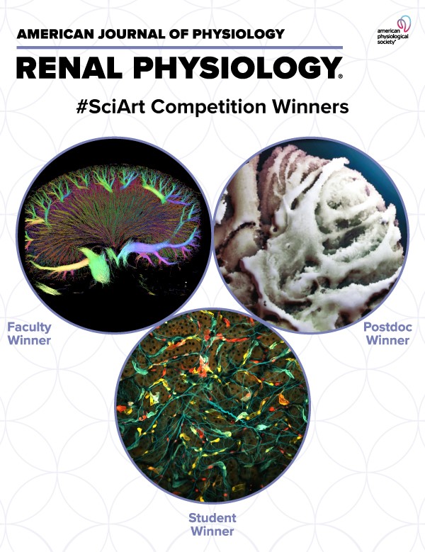 SciArt Competition Winner on the cover - CFU